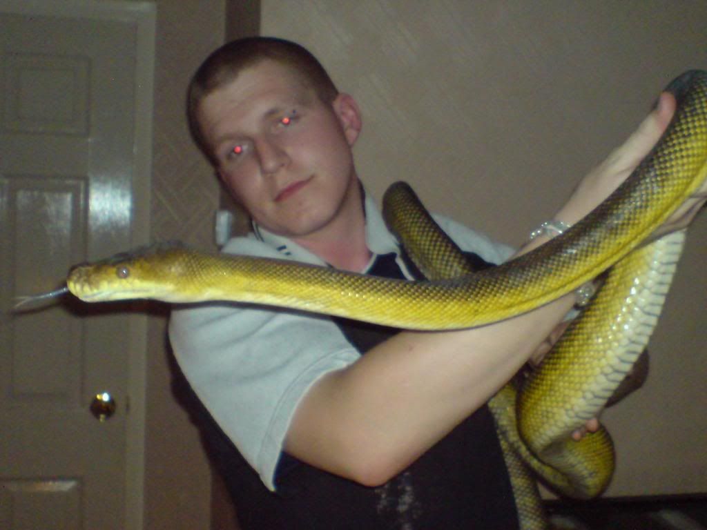 Amethystine (scrub) Python | Page 3 | Reptile Forums