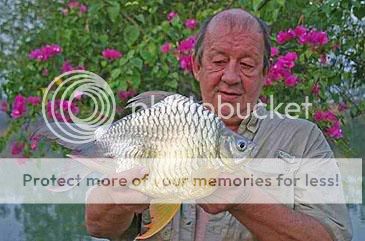 Warning to Fishkeepers - Giant Fish for Sale | Tropical Aquariums SA