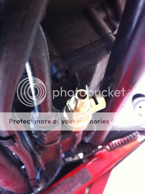 Speedmaster Oil Drain Plug | Triumph Rat Motorcycle Forums