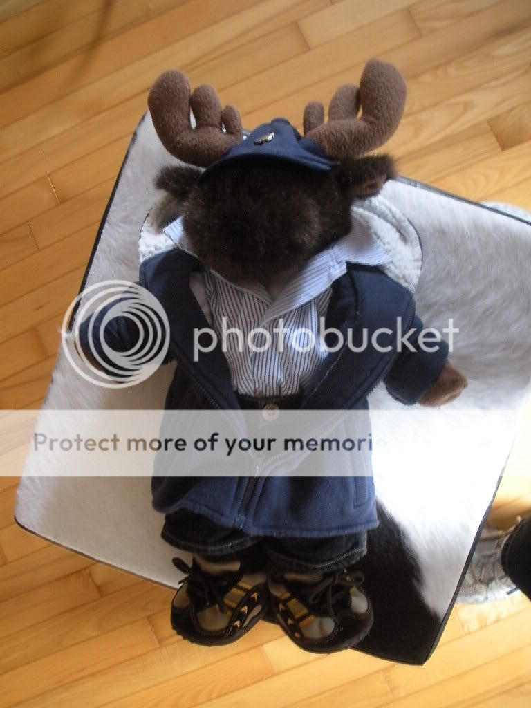 '08 GT500 "Moosetang" | '71 - '73 Vintage Ford Mustang Forum